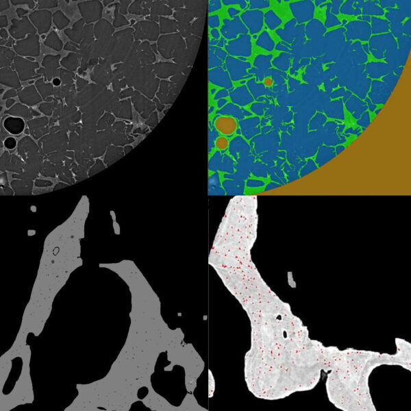 ASP projects - ASP - Alta Scuola Politecnica